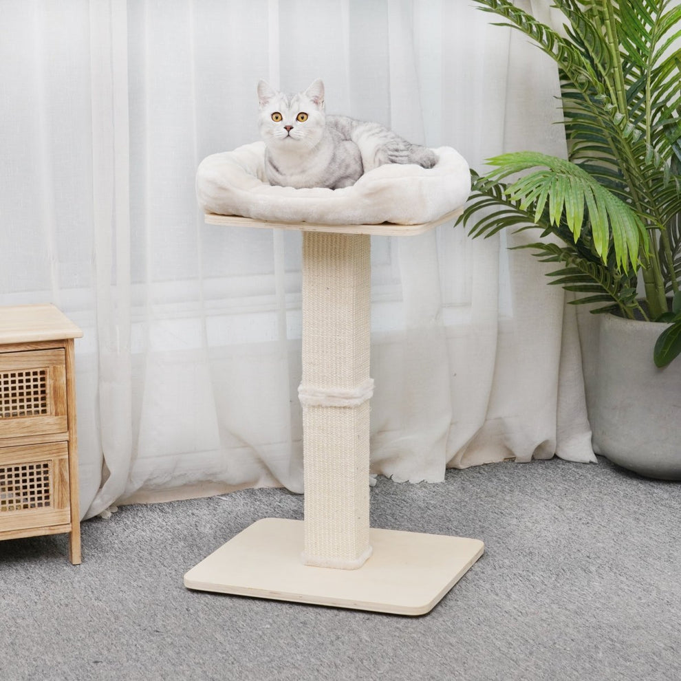 Jett - Plywood Cat Perch – AGILE