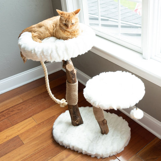 Lana - Real Branch Cat Tree – AGILE