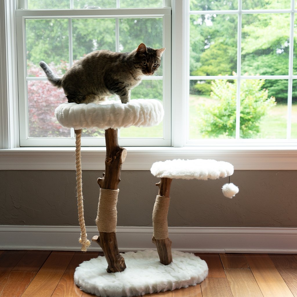 Lana - Real Branch Cat Tree – AGILE