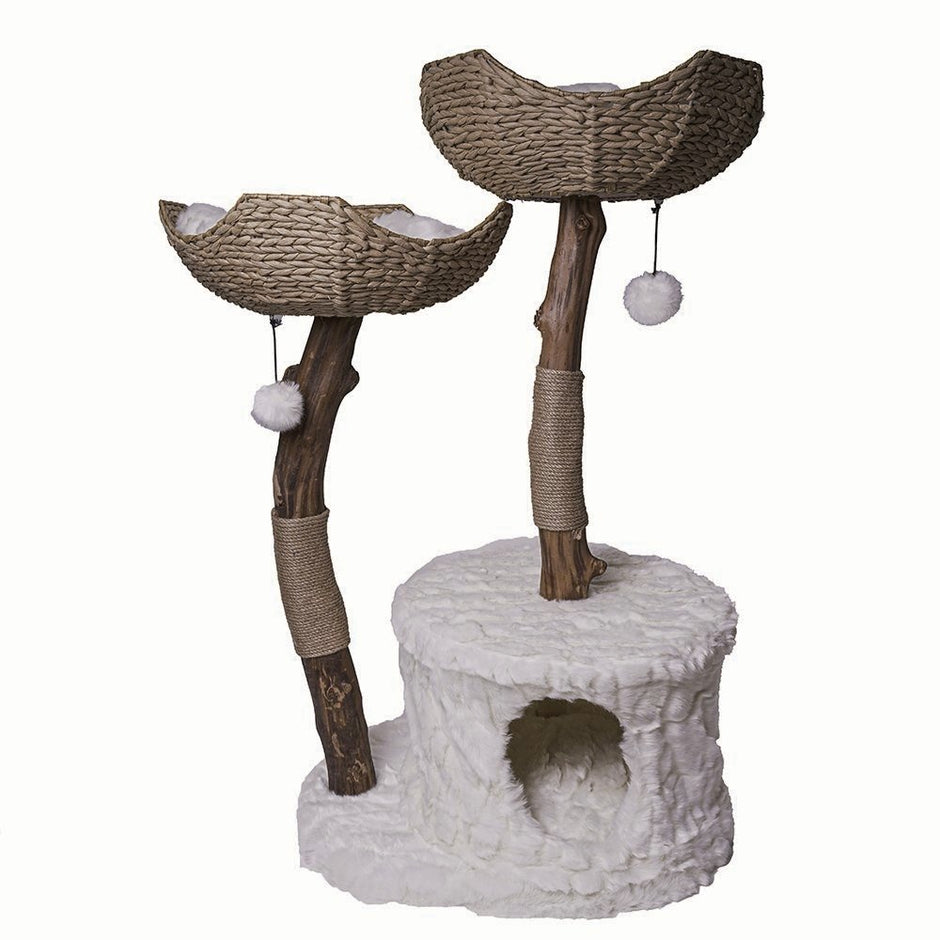 Latest Collection – AGILE